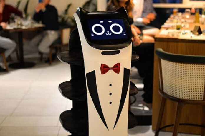 Derventa’s Robotic Waiters Serve Up a Tech-Fueled Dining Experience ...