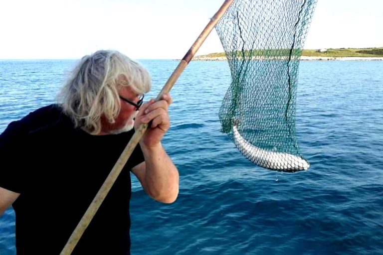 Dangerous Catch: World's Most Poisonous Fish Caught near Croatian ...