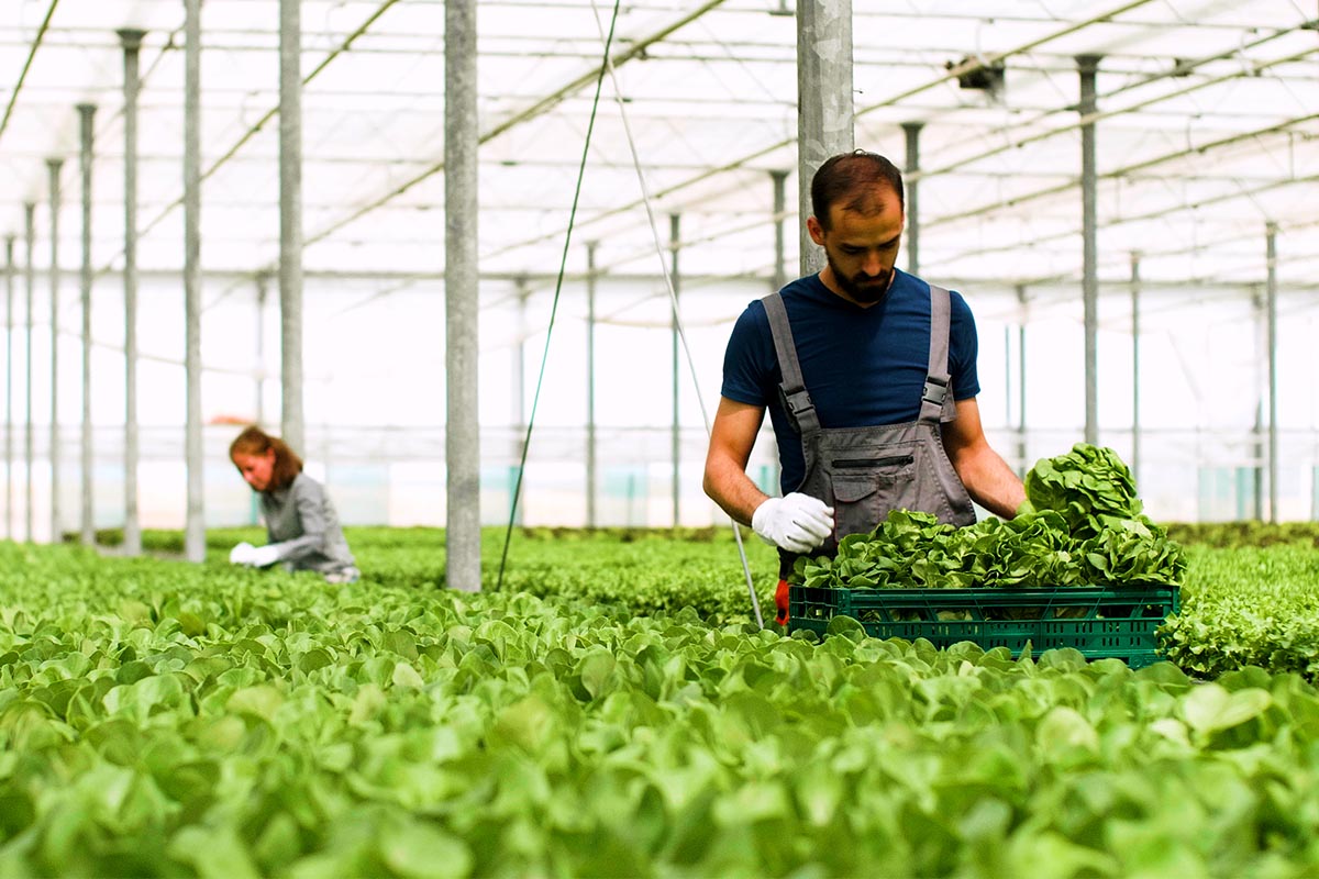 EU Workers Average 36-Hour Work Week, Greeks Work the Longest - The Region