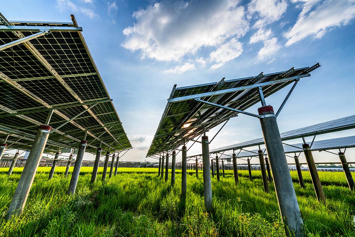 PPC Group and MYTILINEOS Forge €2 Billion Solar Alliance in ...