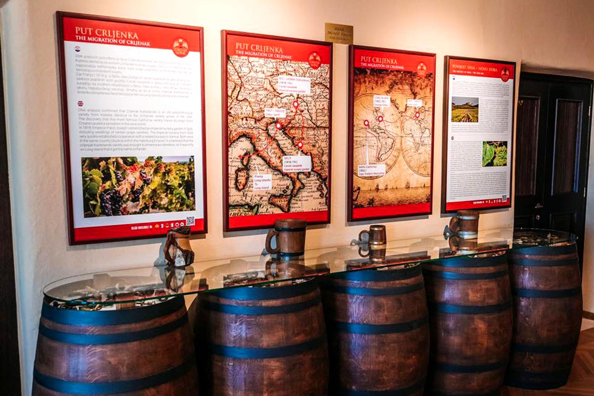 First Wine Museum Opens in Dubrovnik - The Region