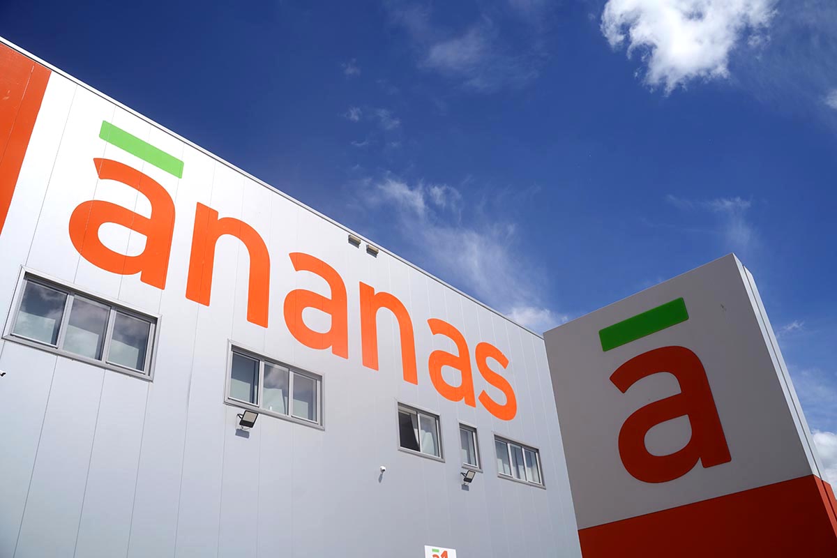 Ananas Expands to Montenegro and Bosnia and Herzegovina - The Region