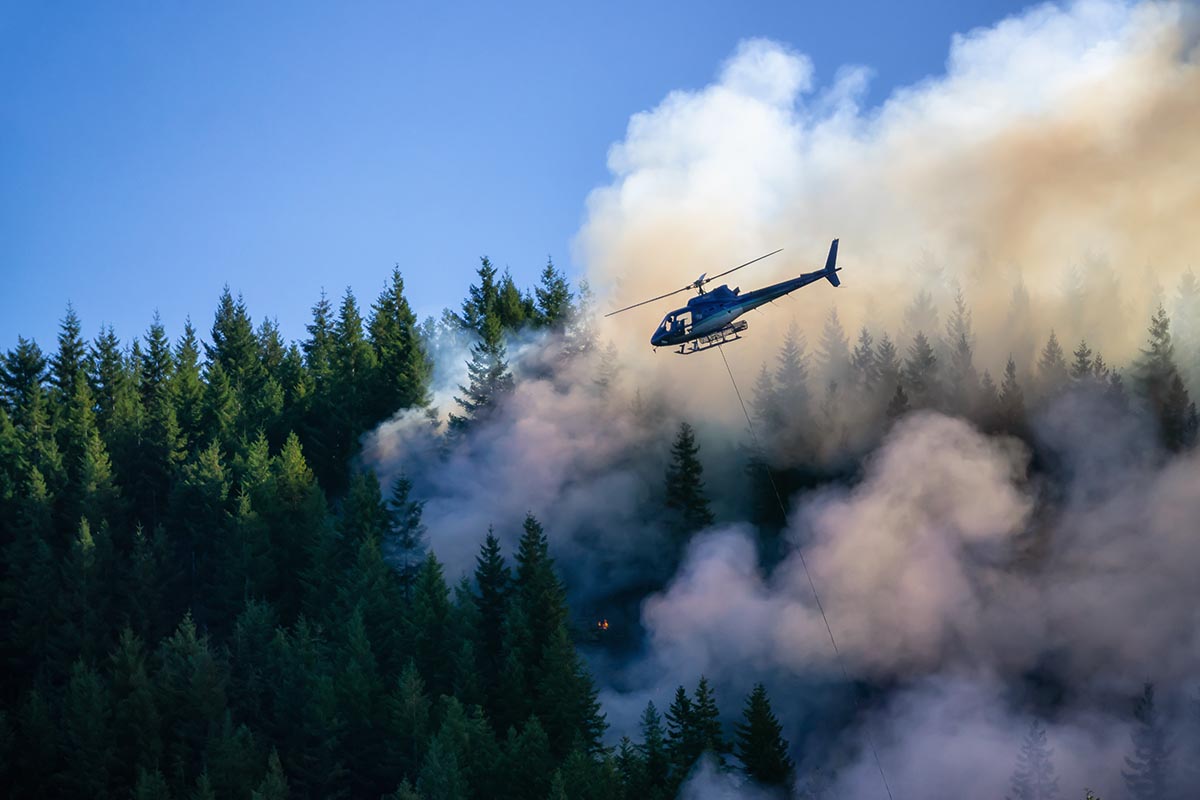 EU Embarks on Major Expansion of Firefighting Fleet to Combat ...