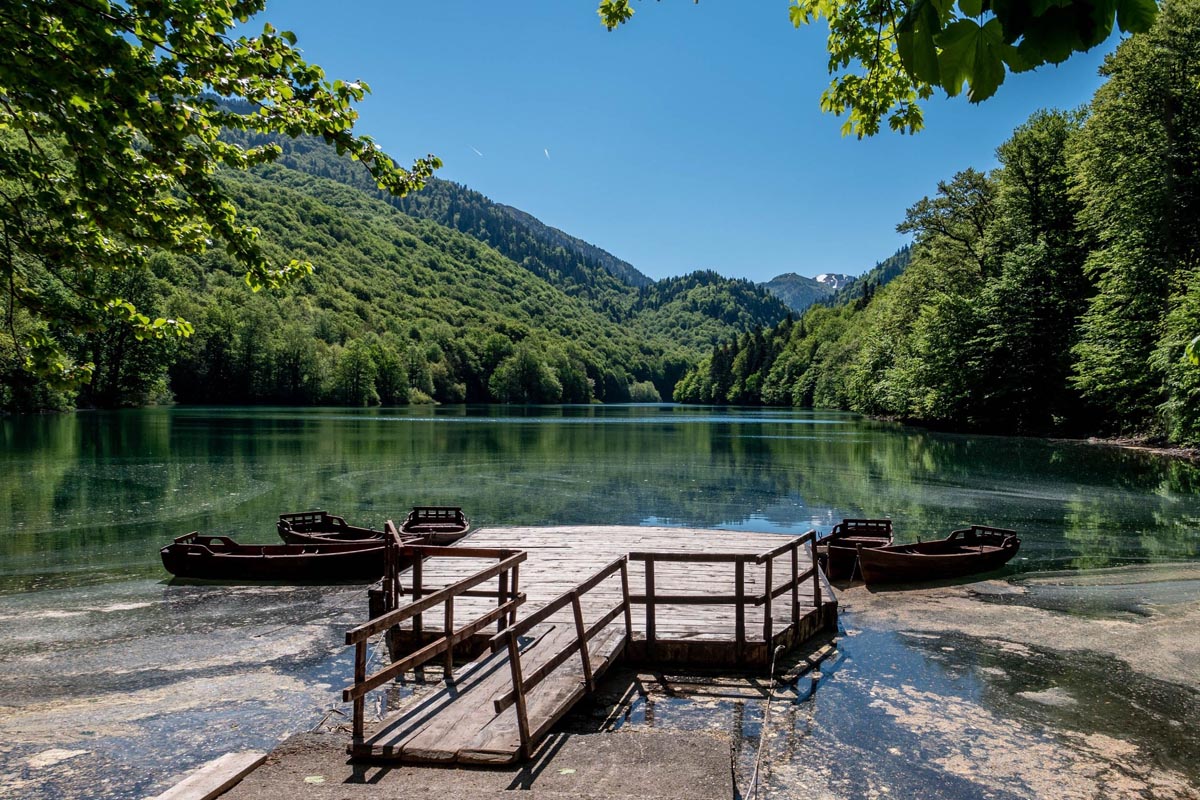 Biogradska Gora Reopens to Nature Enthusiasts - The Region
