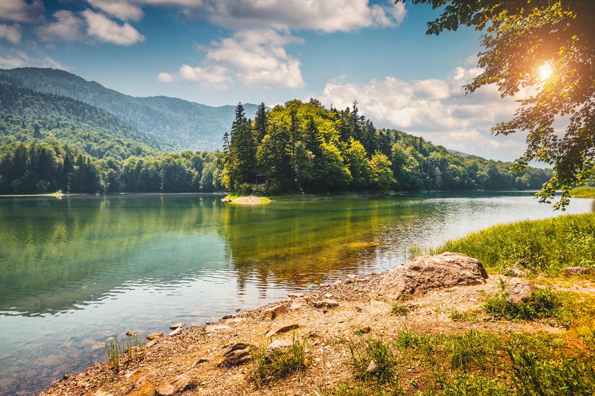 Biogradska Gora Reopens to Nature Enthusiasts - The Region