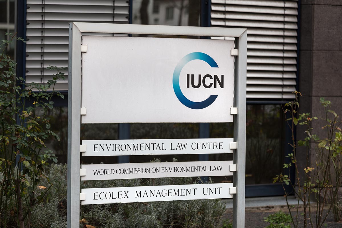 Green Agenda Drives Change in Balkans - The Region